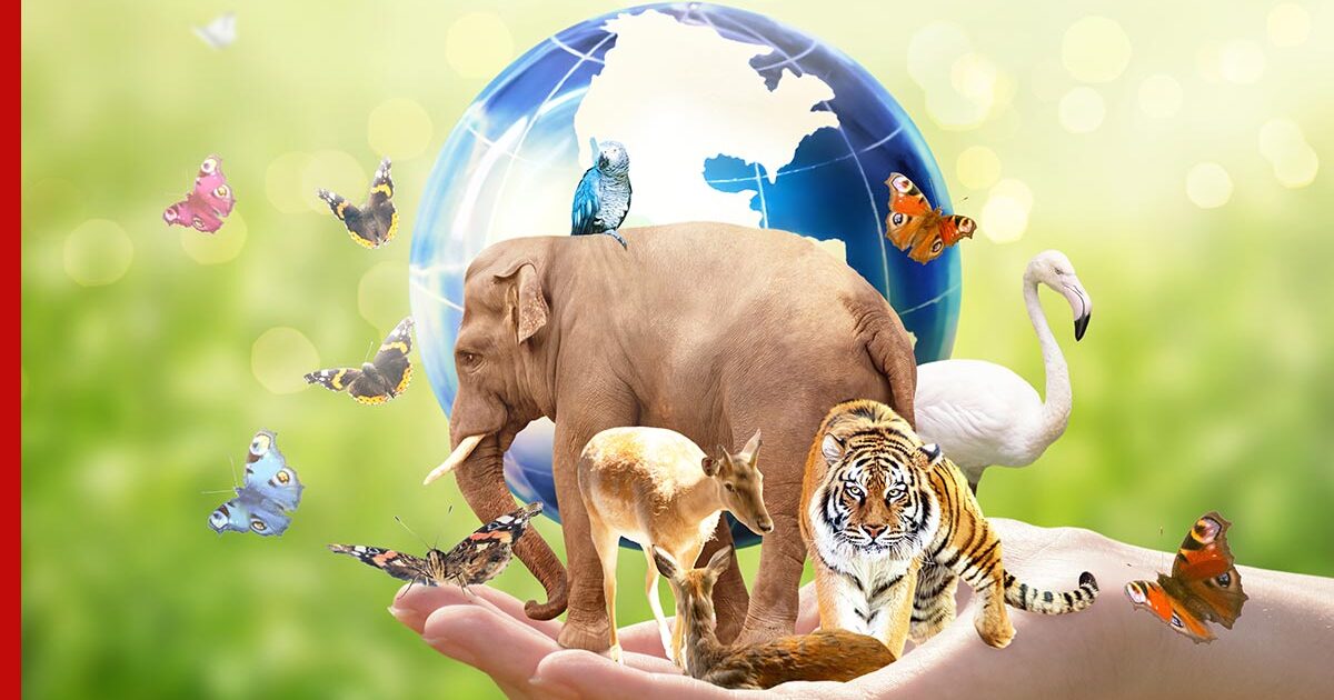 Какой сегодня праздник: 22 мая – Международный день биологического ...